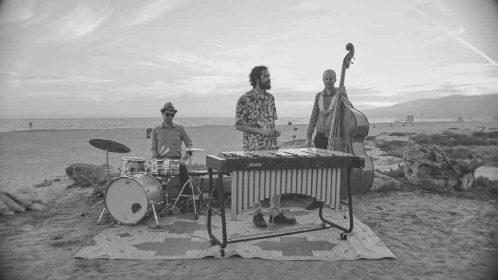 Bands - Dart Collective