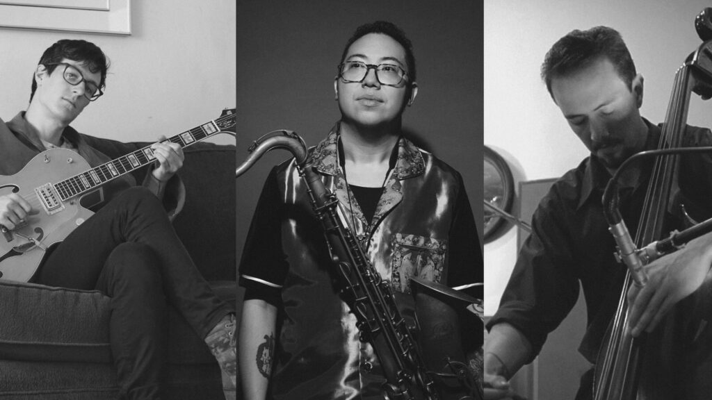 Bands - Dart Collective